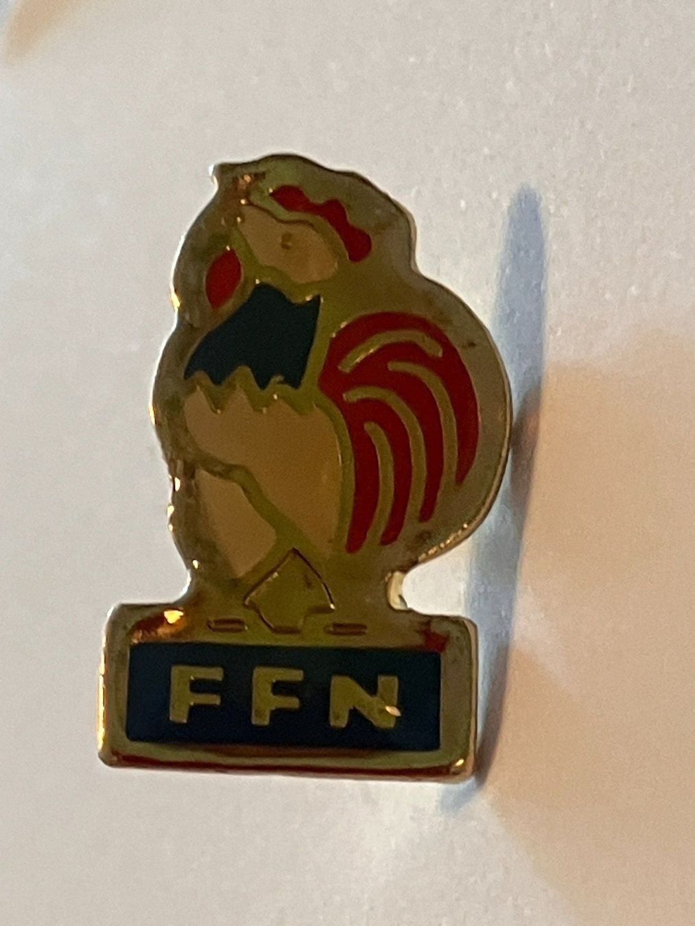 1 Pin FFN (Gebraucht) in Basel für CHF 1 – mit Lieferung auf Ricardo kaufen