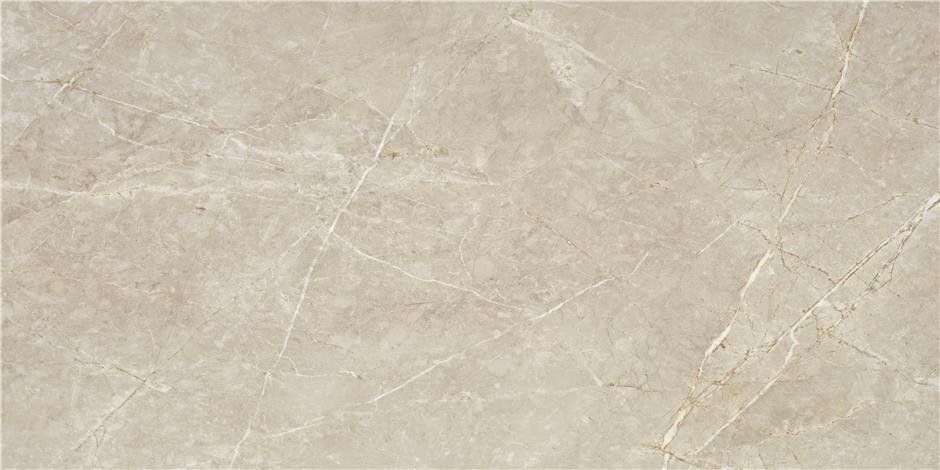 Feinsteinzeug 60x120 Glanz Natursteinoptik | Kaufen auf Ricardo