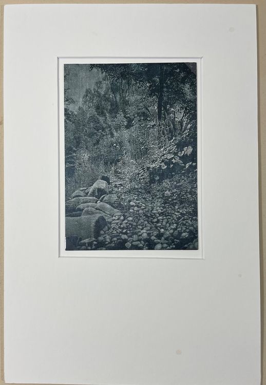 Franz Gertsch (1930-2022) Grafik Handsigniert (Gebraucht) in Root für CHF 210 – mit Lieferung ...