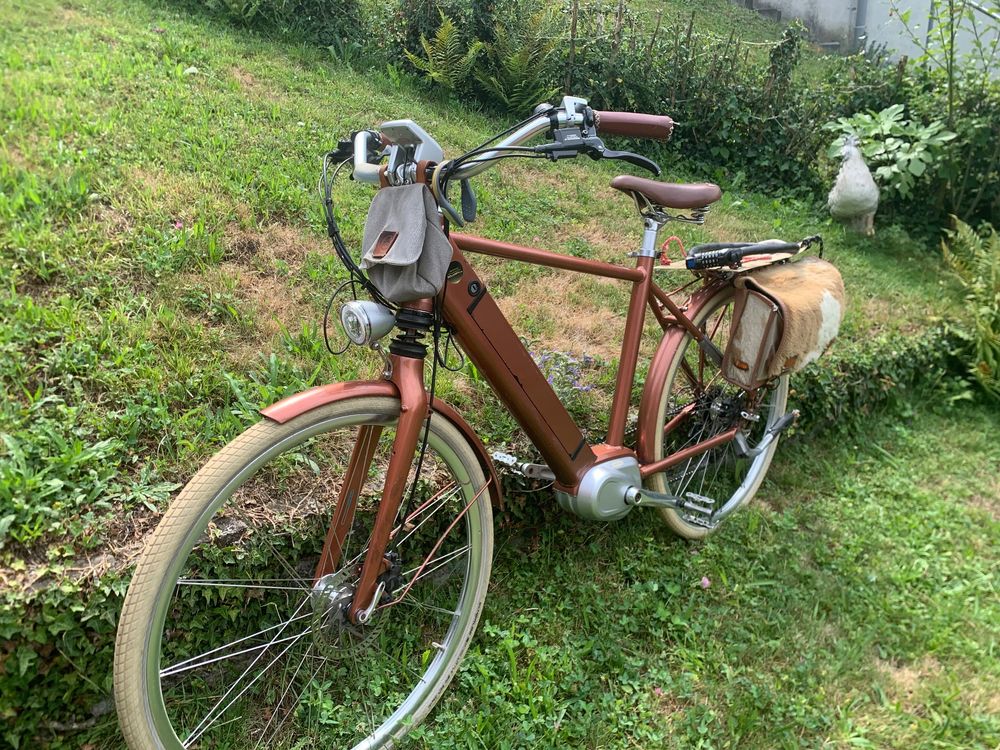 EGO Bike Cäsar II (Gebraucht) in Hünibach für CHF 560 – nur Abholung auf Ricardo kaufen