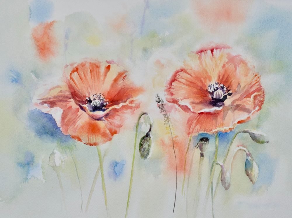 Aquarell Mohnblüten Original (Neu und originalverpackt) in Wald ZH für CHF 45 – mit Lieferung ...