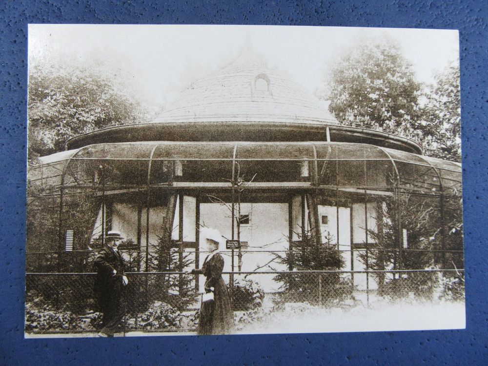 SOLOTHUEN VOLIERE ZOO BIS 1954 REPRO GROSS-AK (Gebraucht) in Ettingen ...