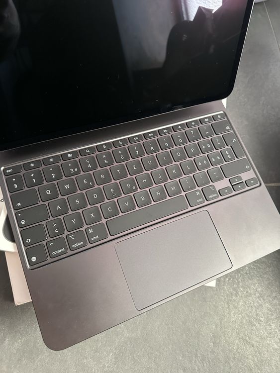 iPad Pro 13-inch (M4) Wi-Fi + Cellular (Gebraucht) in Bogno für CHF 1 ...