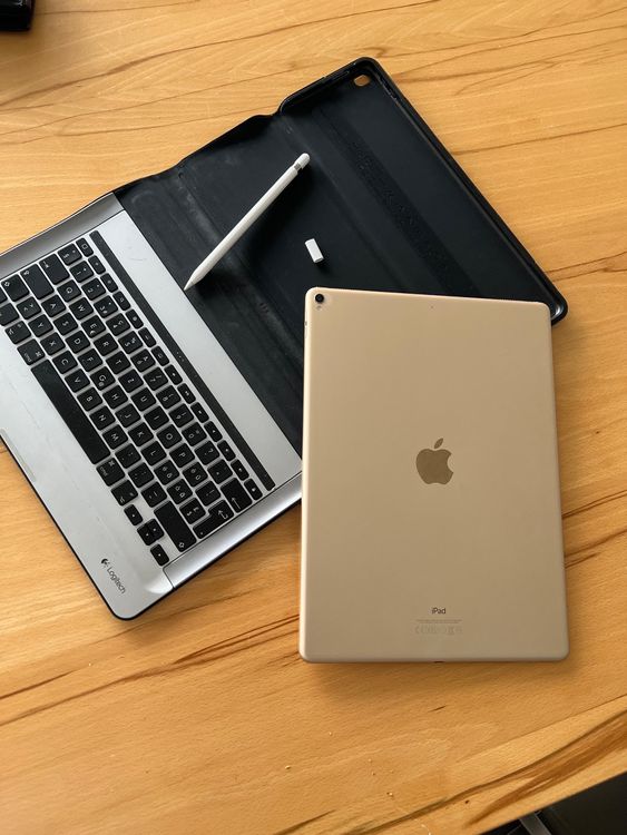 iPad Pro 2. Generation 512 GB (12.9 Zoll) (Gebraucht) in Bassersdorf ...