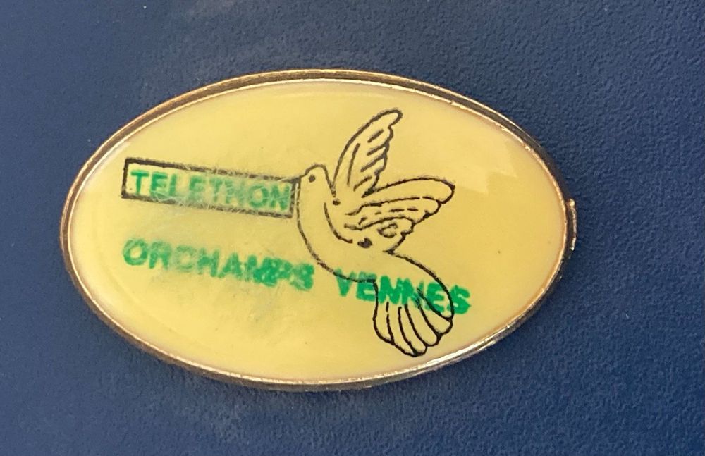 Pins Téléthon | Kaufen auf Ricardo