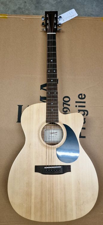 Ditson Acoustic-Electric Guitar (Defekt) in Zofingen für CHF 53 – mit ...