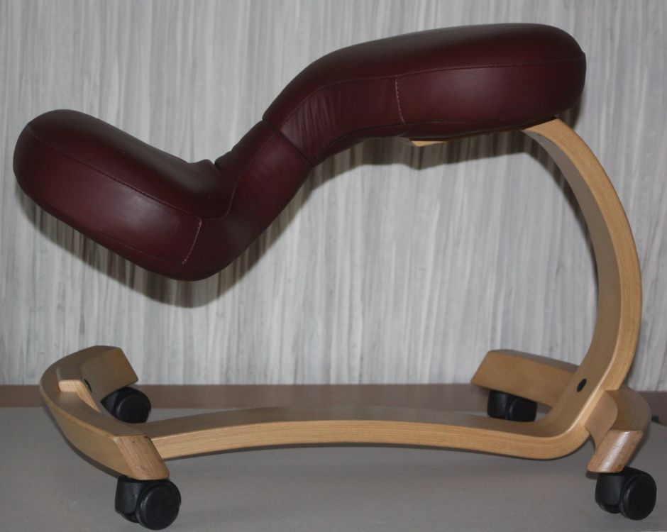 Rybo Rykken Balans Aerobic LEDER bordeaux, Versand möglich | Kaufen auf ...