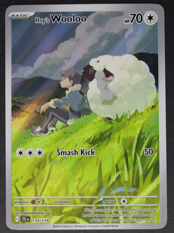 Pokémon Hop's Wooloo (JTG 170) EN (Neu (gemäss Beschreibung)) in Sarnen ...