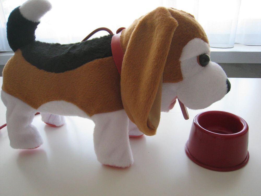 Hund pipi max | Kaufen auf Ricardo