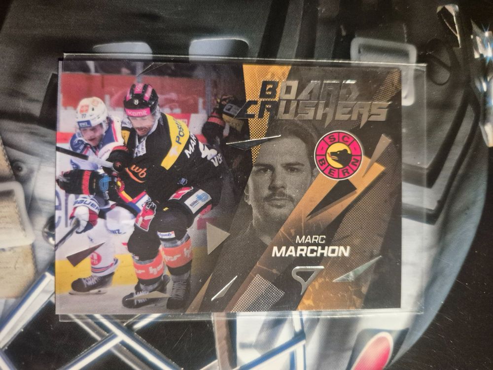 Marc Marchon SC Bern 2024/25 Sportzoo Board Crushers (Gebraucht) in ...
