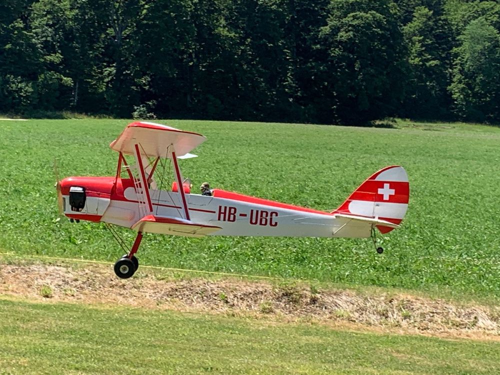 Tiger Moth 2.7m Toni Clark (D'occasion) à St-George pour CHF 510 ...