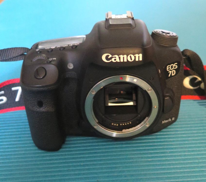 Canon EOS 7D Mark II (Gebraucht) in Ebikon für CHF 350 – mit Lieferung auf Ricardo kaufen