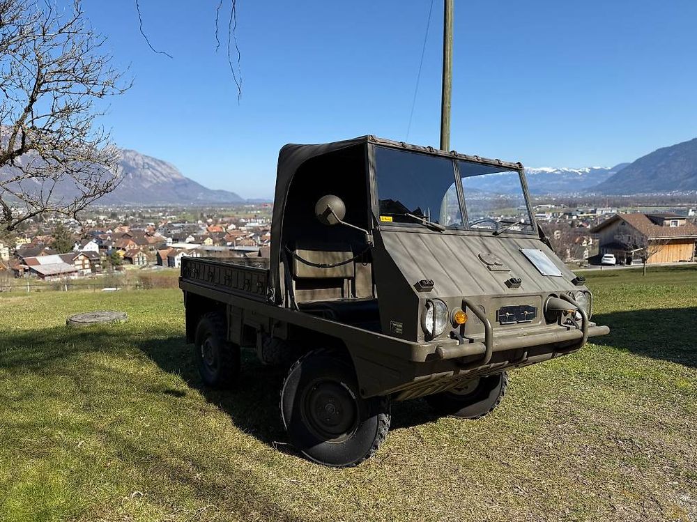 Steyr Puch Haflinger AP 700 (Gebraucht) in Mörschwil für CHF 17000 – nur Abholung auf Ricardo kaufen