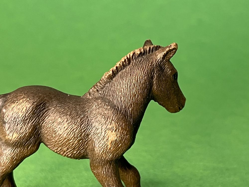 Schleich 13628 - Camargue Fohlen Pferd Germany (Gebraucht) in Ennetbaden für CHF 8 – mit ...