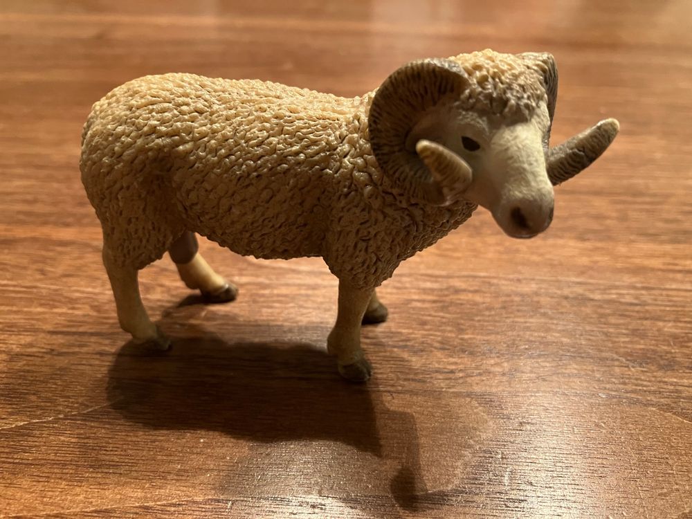Schleich-Schafsbock/Widder | Kaufen auf Ricardo