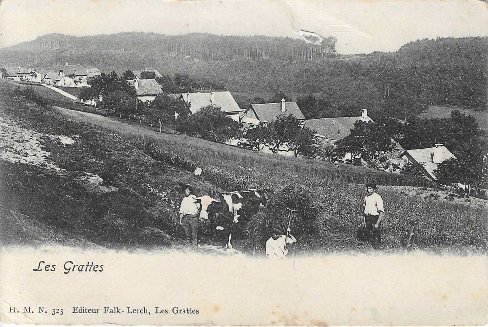 Les Grattes Rochefort (Gebraucht) in Savagnier für CHF 8 – mit ...