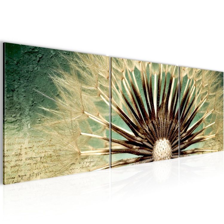 Moderner Bild Wandbild Pusteblume Naturmotiv 3-tl. (Neu und originalverpackt) in Bern für CHF 65 ...