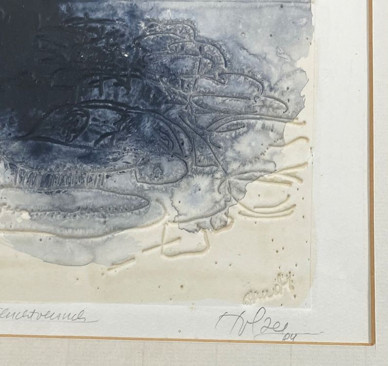 ADI HOLZER RADIERUNG PRÄGEDRUCK AQUARELL SIGNIERT MIT RAHMEN (Gebraucht) in Gersau für CHF 150 ...