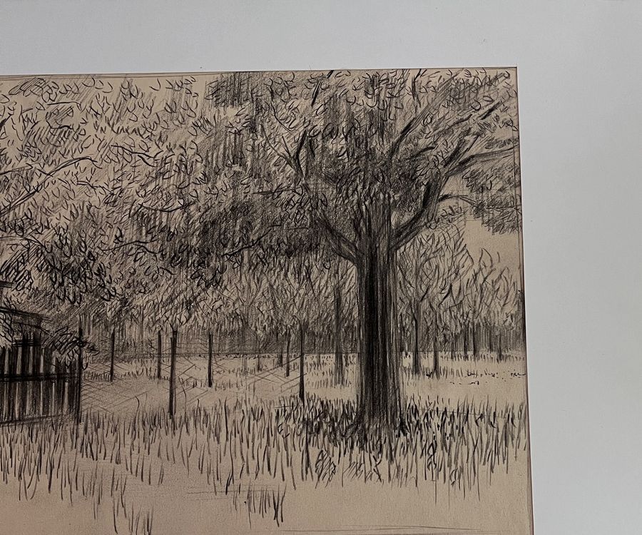 Fred SCHAFFNER ( 1906-? ) Landschaft Zeichnung Handsigniert (Gebraucht ...