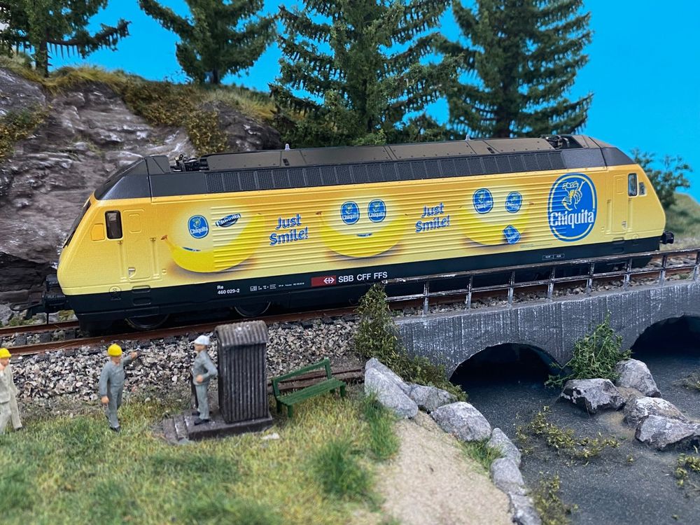 Roco DC SBB Re 460 029 digital ZIMO-Code 1017 | Kaufen auf Ricardo