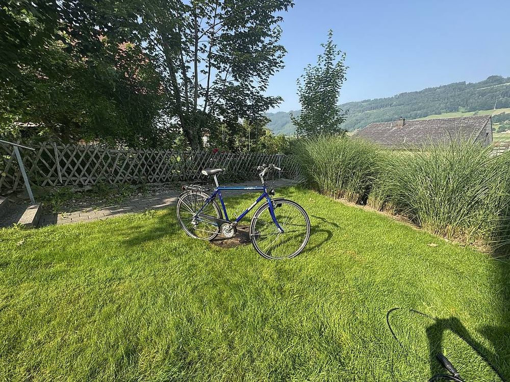 Fahrrad Clio/ City Bike/ Bahnhofvelo (Gebraucht) in Toffen für CHF 275 ...