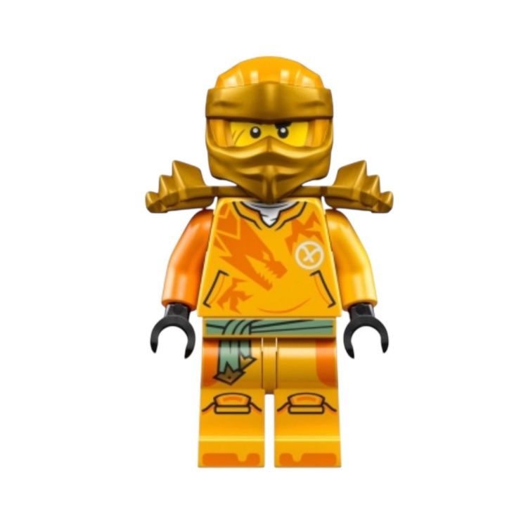 LEGO njo866, Ninjago, Arin (NEU) | Kaufen auf Ricardo