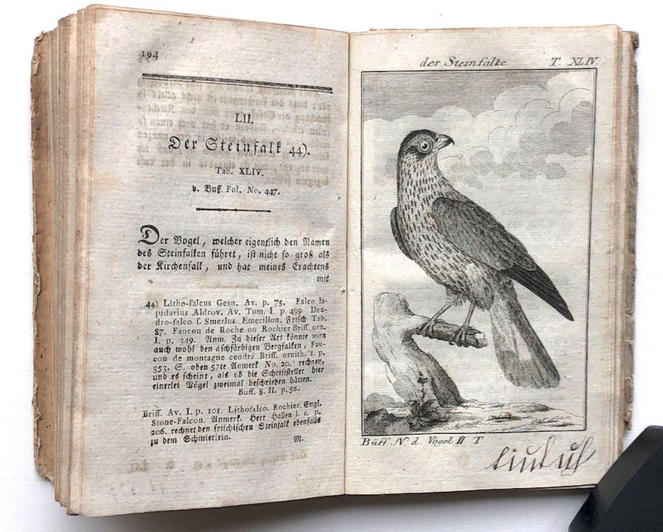 Buffon Vögel Kupferstiche 18. Jh. RAR! | Kaufen auf Ricardo