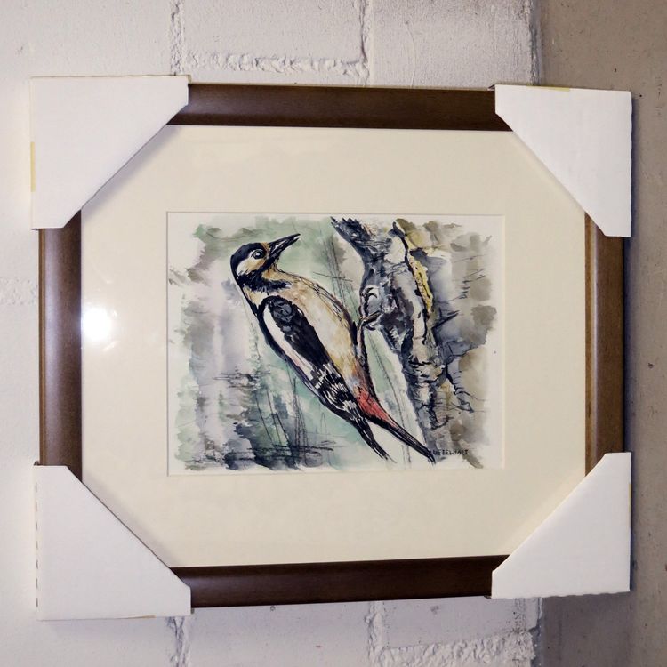 Buntspecht - Aquarell, Ornithologie, direkt aus Atelier (Neu und originalverpackt) in ...