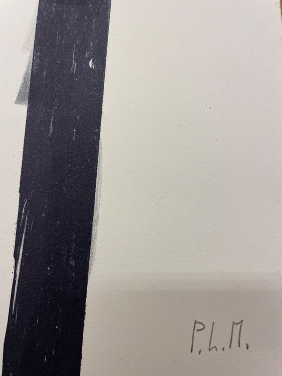 grosse Lithografie Jean Louis Meier | Acheter sur Ricardo