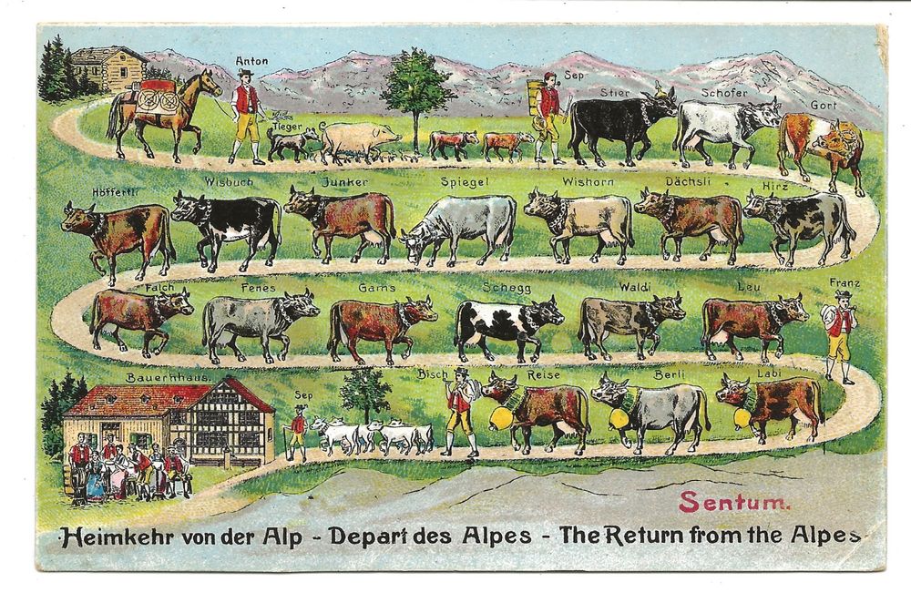 Sentum - Heimkehr von der Alp - Alpabzug - Präge-Litho 1923 (Gebraucht) in Engelburg für CHF 17. ...