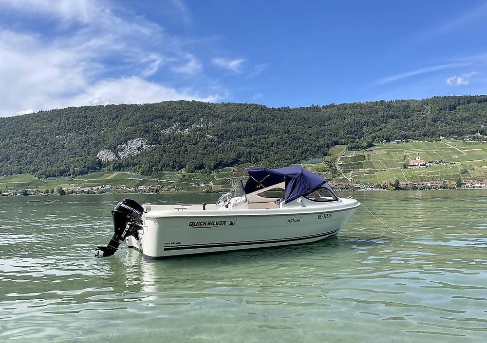 Quicksilver 500 Fish, Top Zustand, inkl. Mercury Motor | Kaufen auf Ricardo