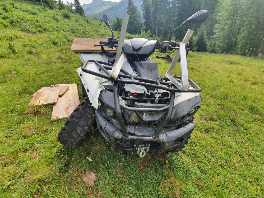 Quad Access AX 700 4 WD | Kaufen auf Ricardo