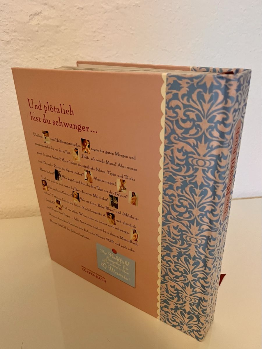 Das Mami Buch (Neu (gemäss Beschreibung)) in Dielsdorf für CHF 20 – mit ...