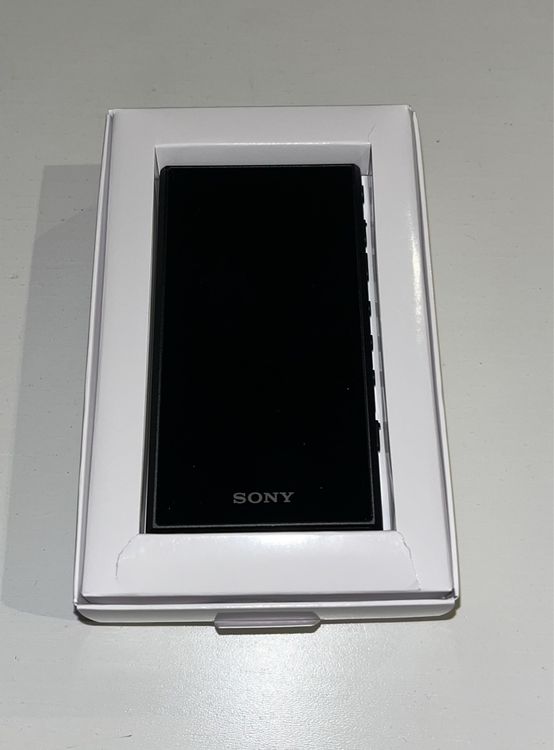 Sony NW-A306 DAP | Kaufen auf Ricardo