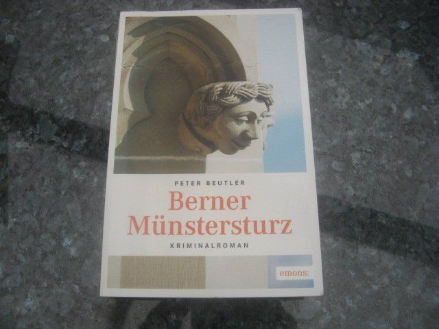 Berner Münstersturz von Peter Beutler (Gebraucht) in reitnau für CHF 1 ...