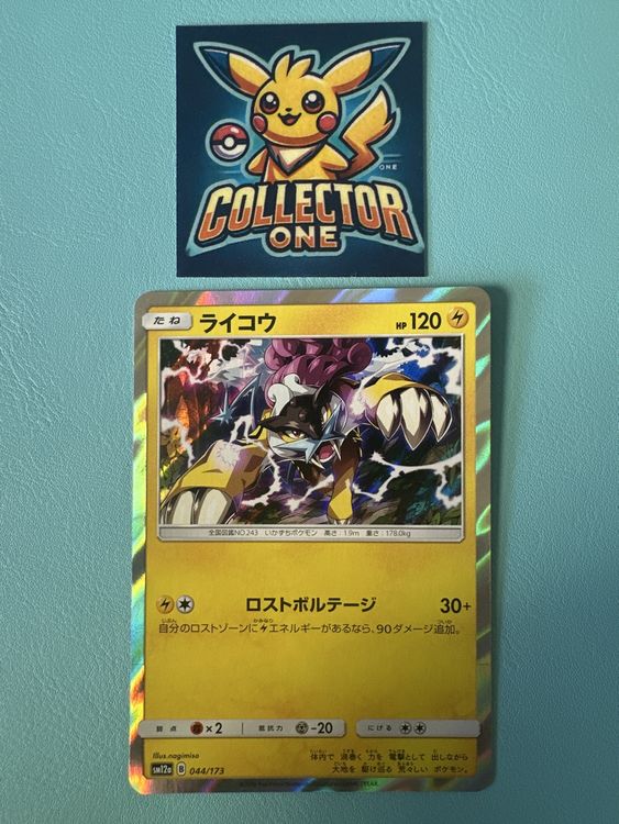 Pokemon Raikou Legendary Pokemon Holo 2019 Japanese (Neu (gemäss ...