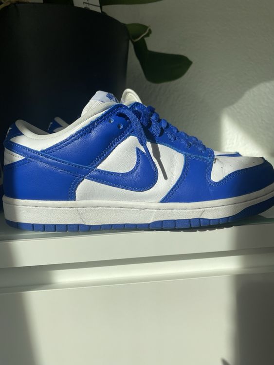 Nike Dunks Blue (Gebraucht) in Horgen für CHF 145 – mit Lieferung auf ...