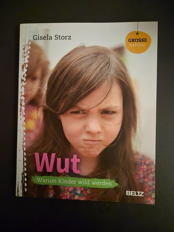 G. Storz Wut warum Kinder wild werden (Gebraucht) in Muri b. Bern für ...