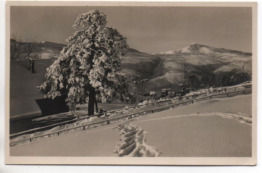 REHETOBEL Stempel Neujahr Gasthof Löwen (Gebraucht) in Jona für CHF 19.9 – mit Lieferung auf ...