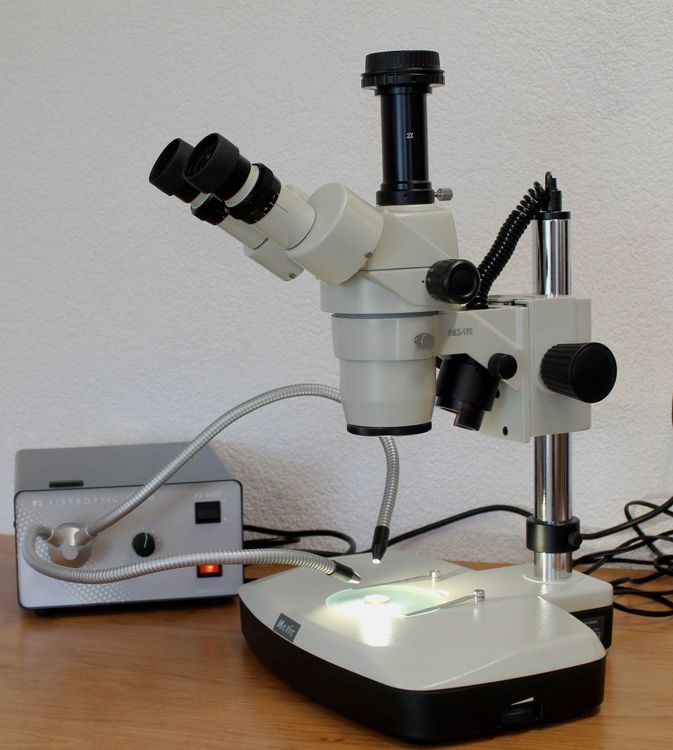 Stereomikroskop Motic SMZ 168 TP | Kaufen auf Ricardo