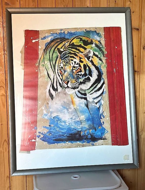 Tiger hinter Glas im Rahmen, Bild von Rolf Knie | Kaufen auf Ricardo