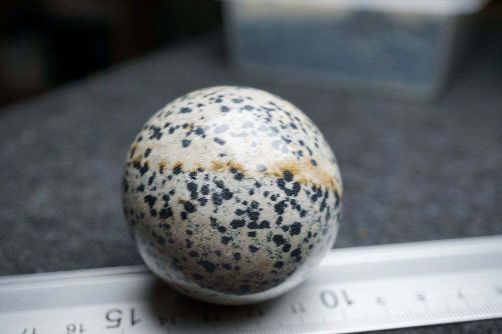 Dalmatiner Jaspis 50mm Kugel TOPSTONE (Neu und originalverpackt) in Eschenbach SG für CHF 15 ...