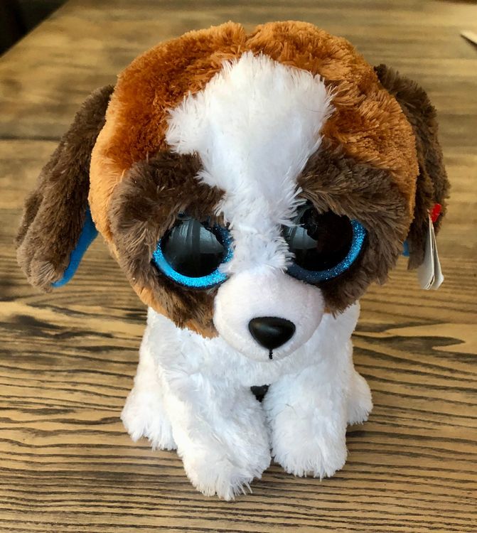 TY Plüschtier Stofftier Hund Duke mit Glitzeraugen | Kaufen auf Ricardo