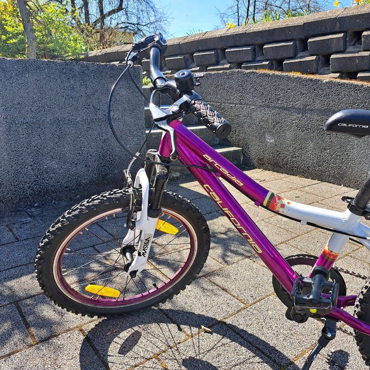 Fahrad (Gebraucht) in Ettiswil für CHF 95 – nur Abholung auf Ricardo kaufen