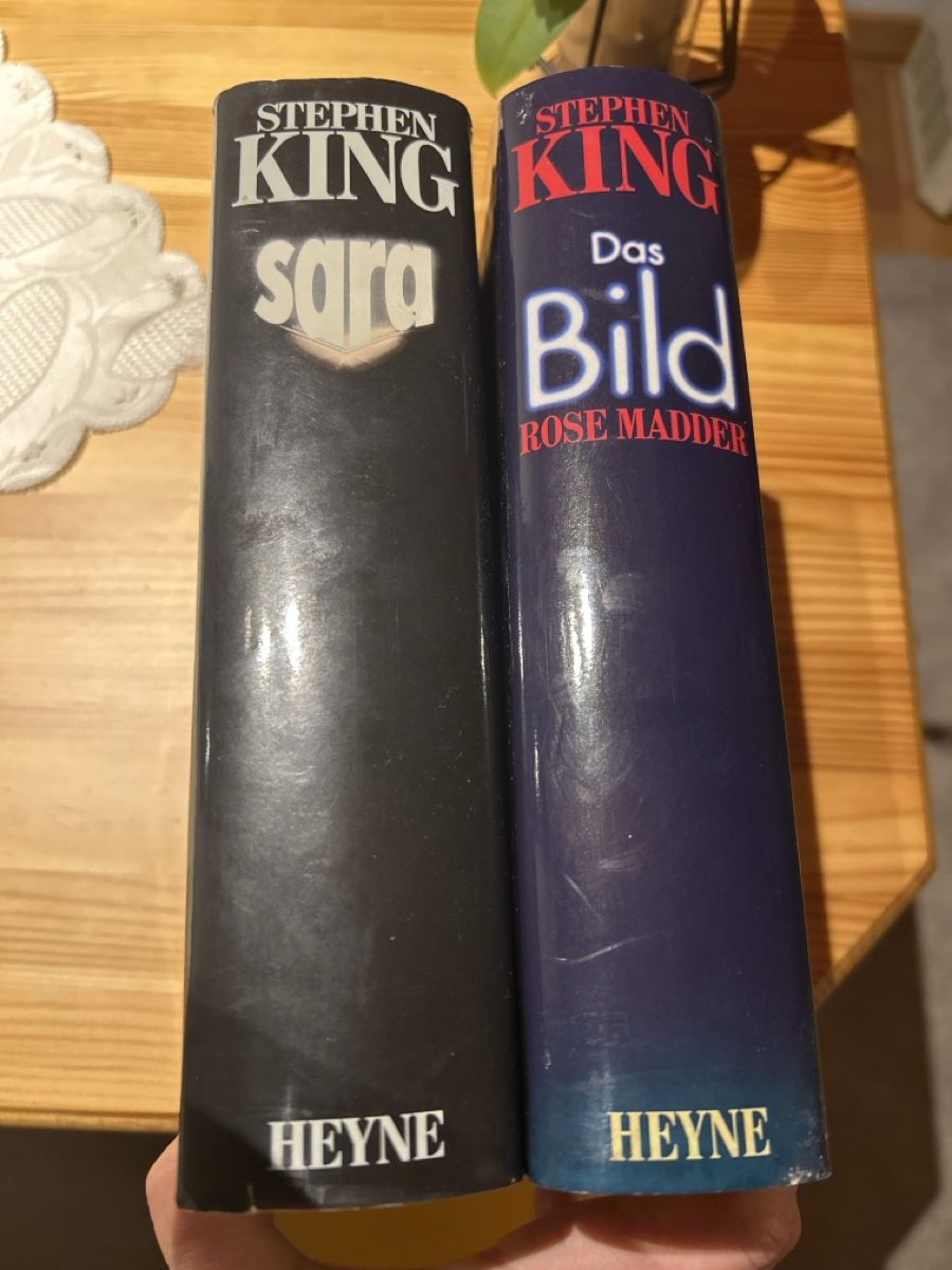 Stephen King: Sara + Das Bild Rose Madder, Top Zustand (Gebraucht) in ...