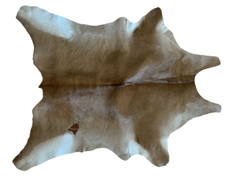 echtes Kalbfell beige (Neu und originalverpackt) in Arbedo für CHF 110 ...