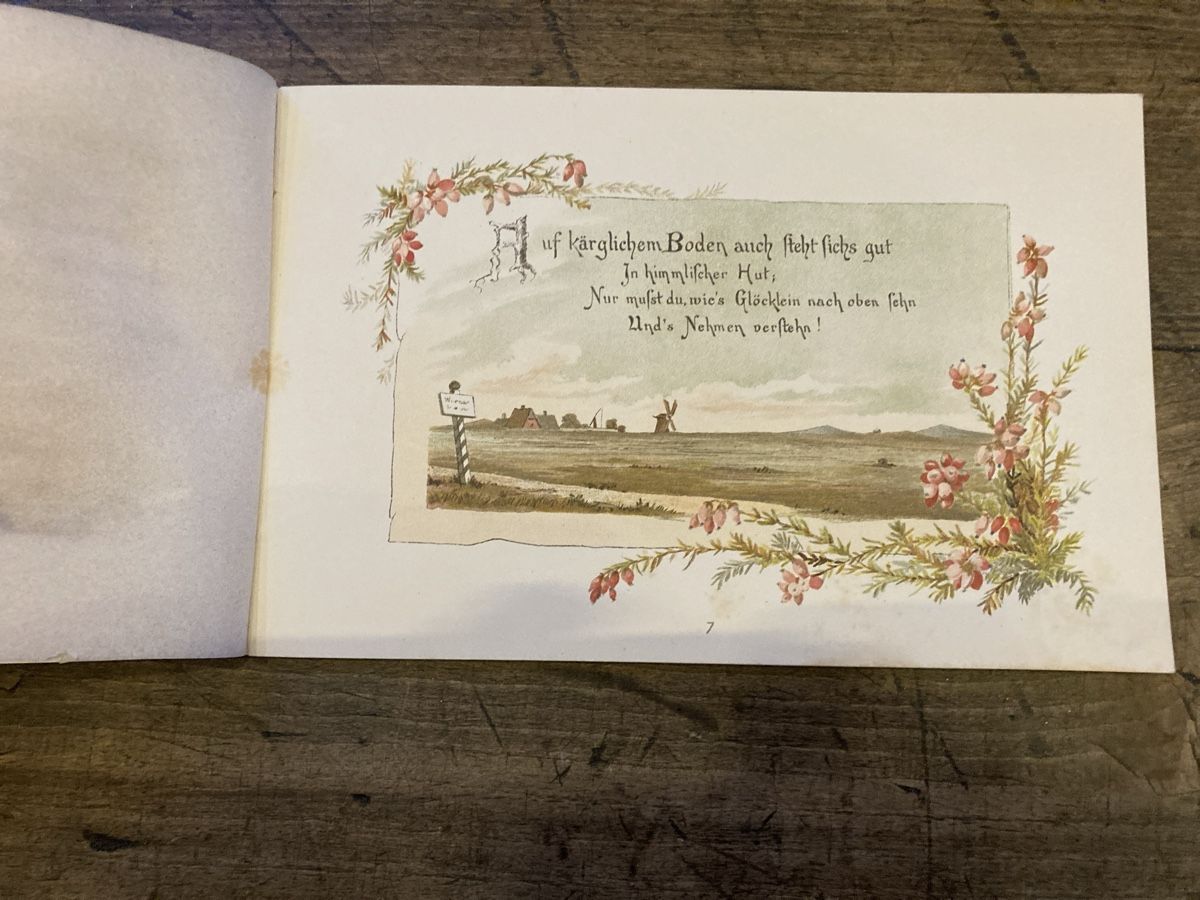 Bild und Gleichnis, E. Fehr 1892, St. Gallen (Gebraucht) in Zürich für ...