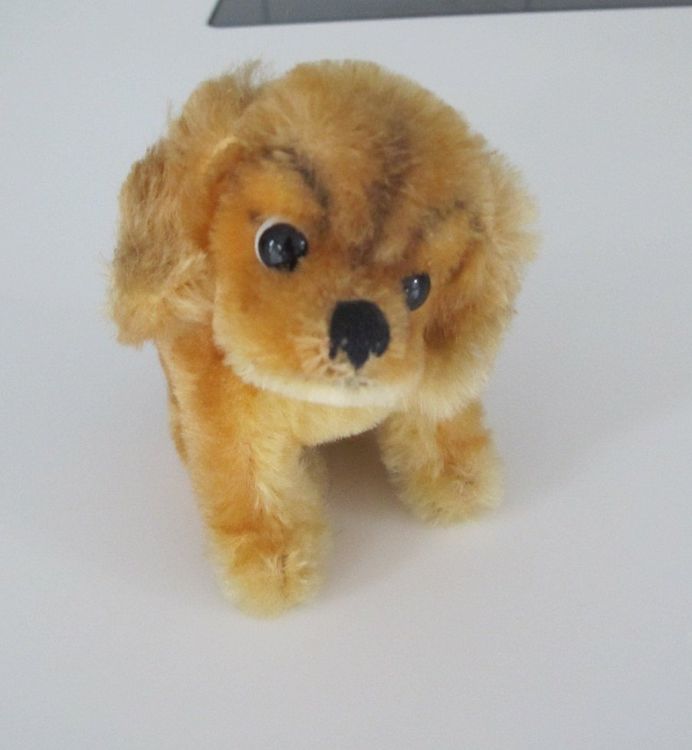 Steiff, Cocker Spaniel Susi, 1950er Jahre (Gebraucht) in Solothurn für ...