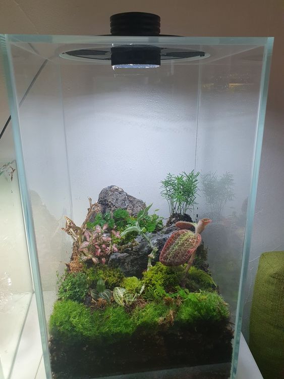 Biolark FD250 Terrarium (Gebraucht) in Gisikon für CHF 108 – nur ...