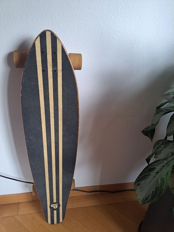Titus Longboard (Gebraucht) in Bern für CHF 50 – nur Abholung auf ...